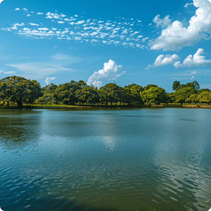 Green Earth | Green Wheels Plastic Collection Project, Sri Lanka